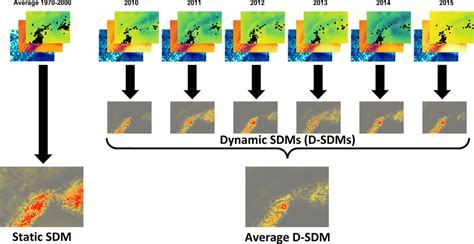 Differences Between Static And Dynamic Species Distribution Models Download Scientific Diagram