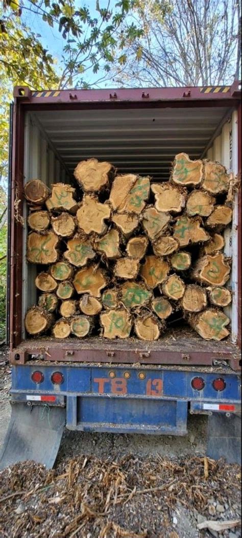 Garveet Gokhru On Linkedin Panama Teak Premium Long Length