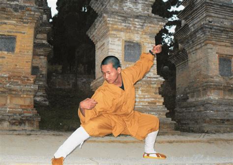 Kung Fu Animal Styles - Maling Shaolin Kung Fu Academy