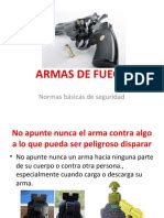 Decalogo De Seguridad Armas De Fuego Pdf