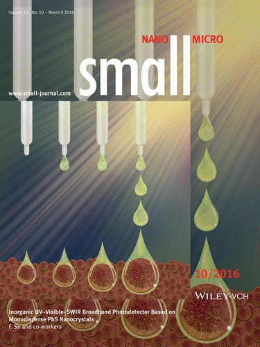 Photodetectors Inorganic Uvvisibleswir Broadband Photodetector Based