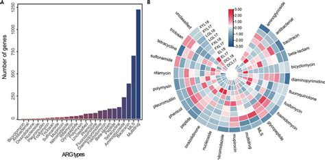 The Distribution Characteristics Of Arg Types Number Of Genes In Each Download Scientific
