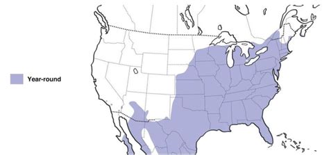 12 Types Of Red Birds Found In Michigan Id Guide Bird Watching Hq