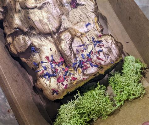 Is This Wolf Lichen As A Cake Garnish Isnt That Toxic Rlichen