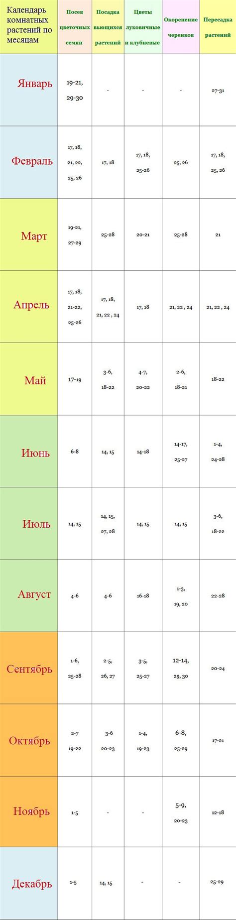 Календарь комнатных растений на 2024