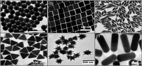 Advancing Mycotoxin Detection In Food And Feed Novel Insights From