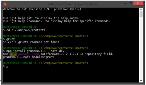 Node Js NPM Install Grunt Version No Repository Field Stack Overflow