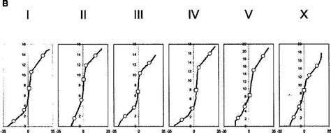 Distribution Of Single Nuclear Polymorphism Snp Markers Across The