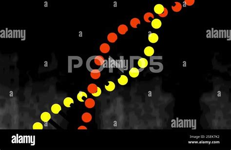 Animation Of Rotating 3d Model Dna Strand On Black Background Stock Video Footage Alamy