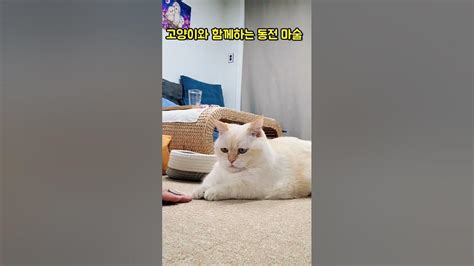 고양이와 함께하는 동전 마술 Youtube