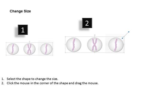 Chromosomes Medical Images For Powerpoint Ppt Images Gallery Powerpoint Slide Show