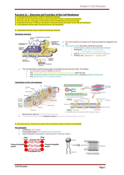 Biosci107 Module 5 Biosci 107 Biology For Biomedical Science