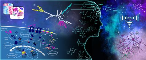 Computational Biology And Chemistry Helmholtz Centre For Environmental Research