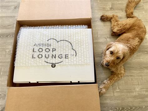 Assisi Loop Lounge Review 2025 A Natural Way To Heal Your Pet Dogster