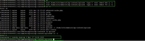 issue with setting the proper permissions for our wordpress microsoft qanda