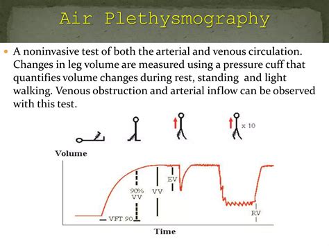 Test For Peripheral Arterial And Venous Circulation Pptx