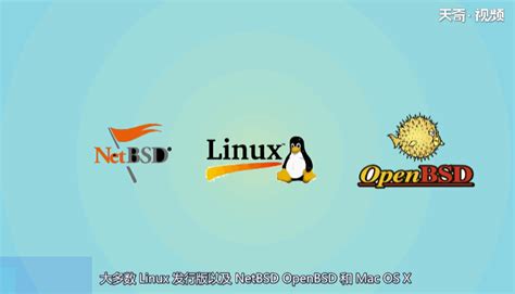 Python能做什么 Python的用处 天奇生活