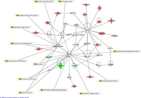 highest scoring interaction network generated by ingenuity pathway