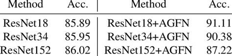 Comparison Of Networks With Agfn And Different Backbones On Raf Db