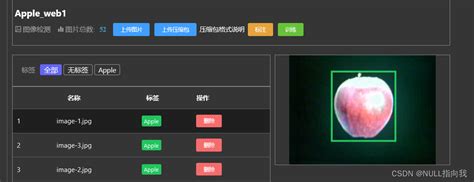 K210视觉识别模块学习笔记6： 识别苹果图形化操作函数 Csdn博客
