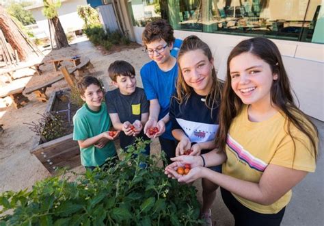 Gideon Hausner Jewish Day School Updated September 2025 16 Photos