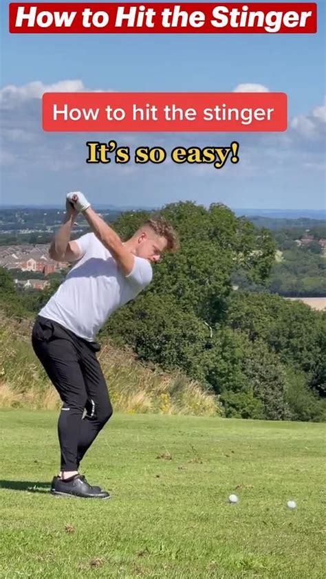 How to hit the stinger – Artofit