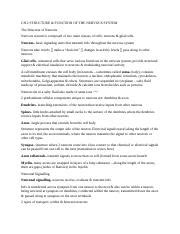 Ch Structure Function Of Nervous System Docx CH STRUCTURE FUNCTION OF THE NERVOUS SYSTEM