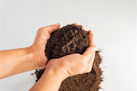 Organic Vermicompost For Indoor Plants Sikri Farms