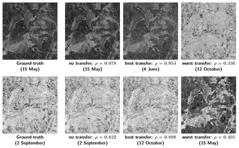 A CNN Based Fusion Method For Feature Extraction From Sentinel Data