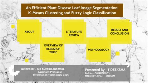 An Efficient Plant Disease Leaf Image Segmentation K Means Clustering