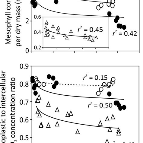 Sample Relationships Of Within Canopy Variation In Leaf Dry Mass Per Download Scientific
