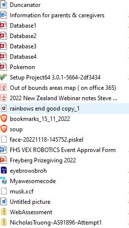 File Types YEAR 11 DIGITAL TECHNOLOGY