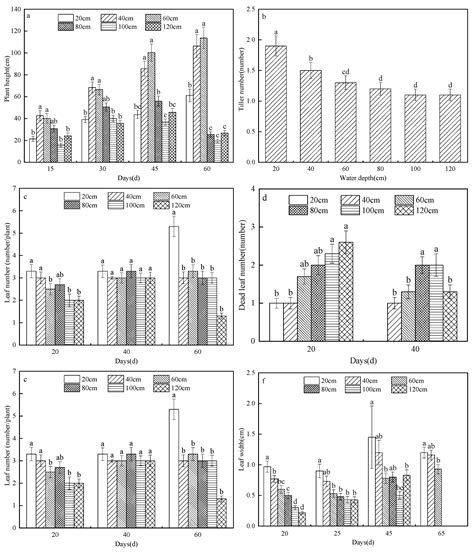 Sustainability Free Full Text The Effects Of Water Depth On The Growth Of Two Emergent