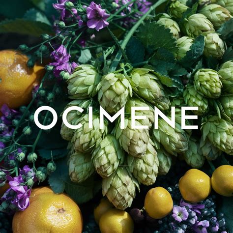 Ocimene Terpene Information Terpene Information Medical Cannabis Patients Hub