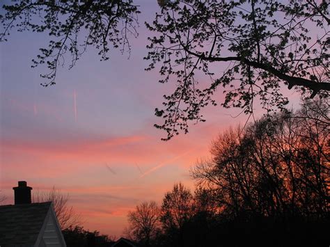 Daniel Marchese Flickr