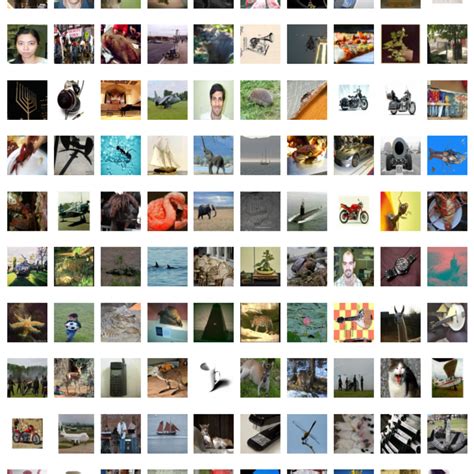 extended caltech101 kaggle