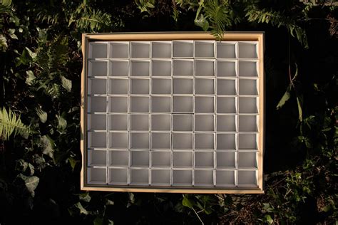 Cornell Unit Trays Ecology Supplies