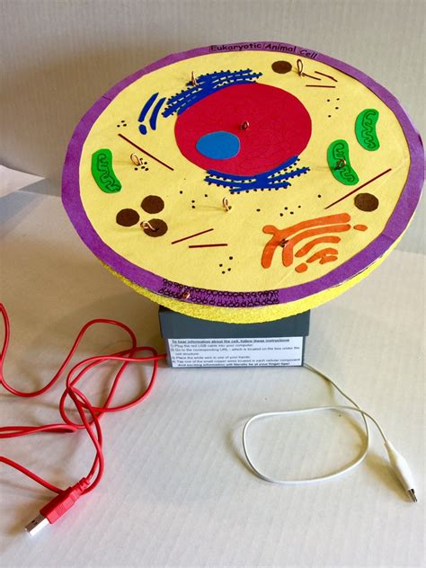 Interactive Cell Model 28 Steps With Pictures Instructables