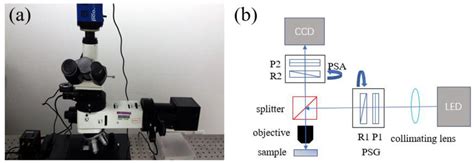 Schematic Of The Collinear Reflection Mueller Matrix Microscope