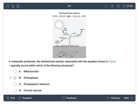 Act® Science Practice Tests And Sample Questions