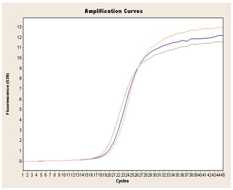 Pcr Amplification Graph
