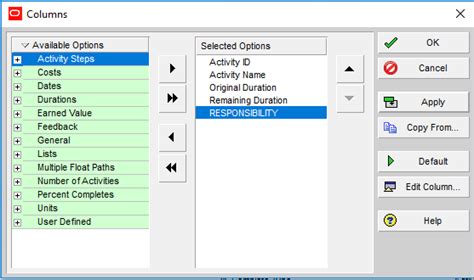 Primavera P6 Filters Explained Filter By Feature