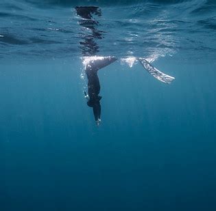 Courses FREEDIVING ADVENTURE MALAYSIA