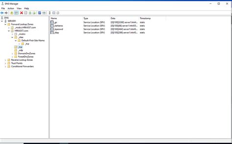 New Domain Controller Missing From Msdcs Under Software And Applications