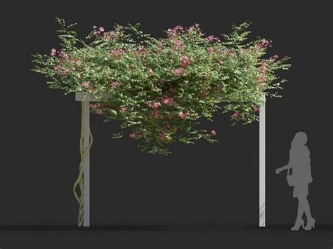 High Quality 3d Models Campsis Grandiflora Free 3d Model Cgtrader