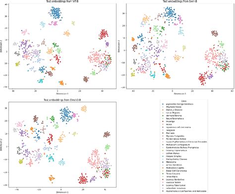 Enhancing Skin Disease Classification Leveraging Transformer Based Deep Learning Architectures