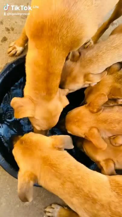 Davd Trev Posted On Linkedin