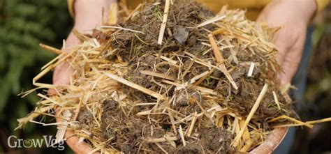 The Perfect Compost Recipe