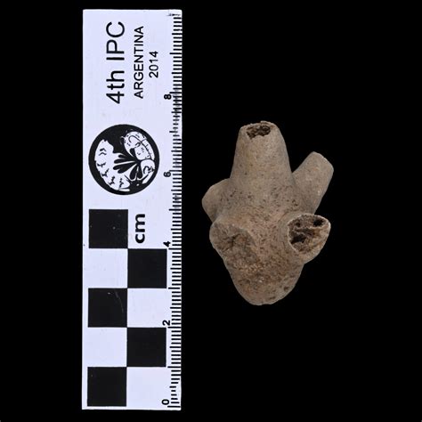 Ancyrocrinus Bulbosus · Devonian Atlas Of Ancient Life