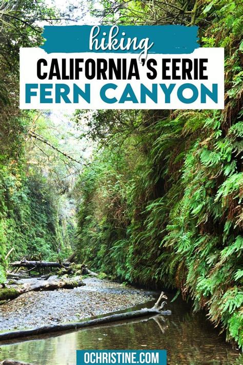 Hiking Californias Eerie Fern Canyon California Travel Usa Travel